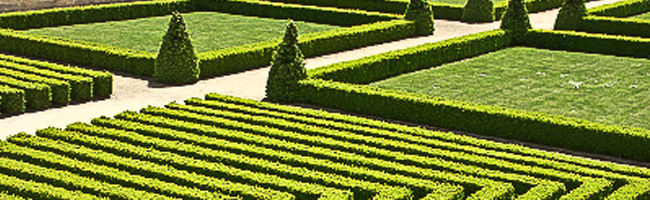 Garden design and landscape design courses post-graduate diploma